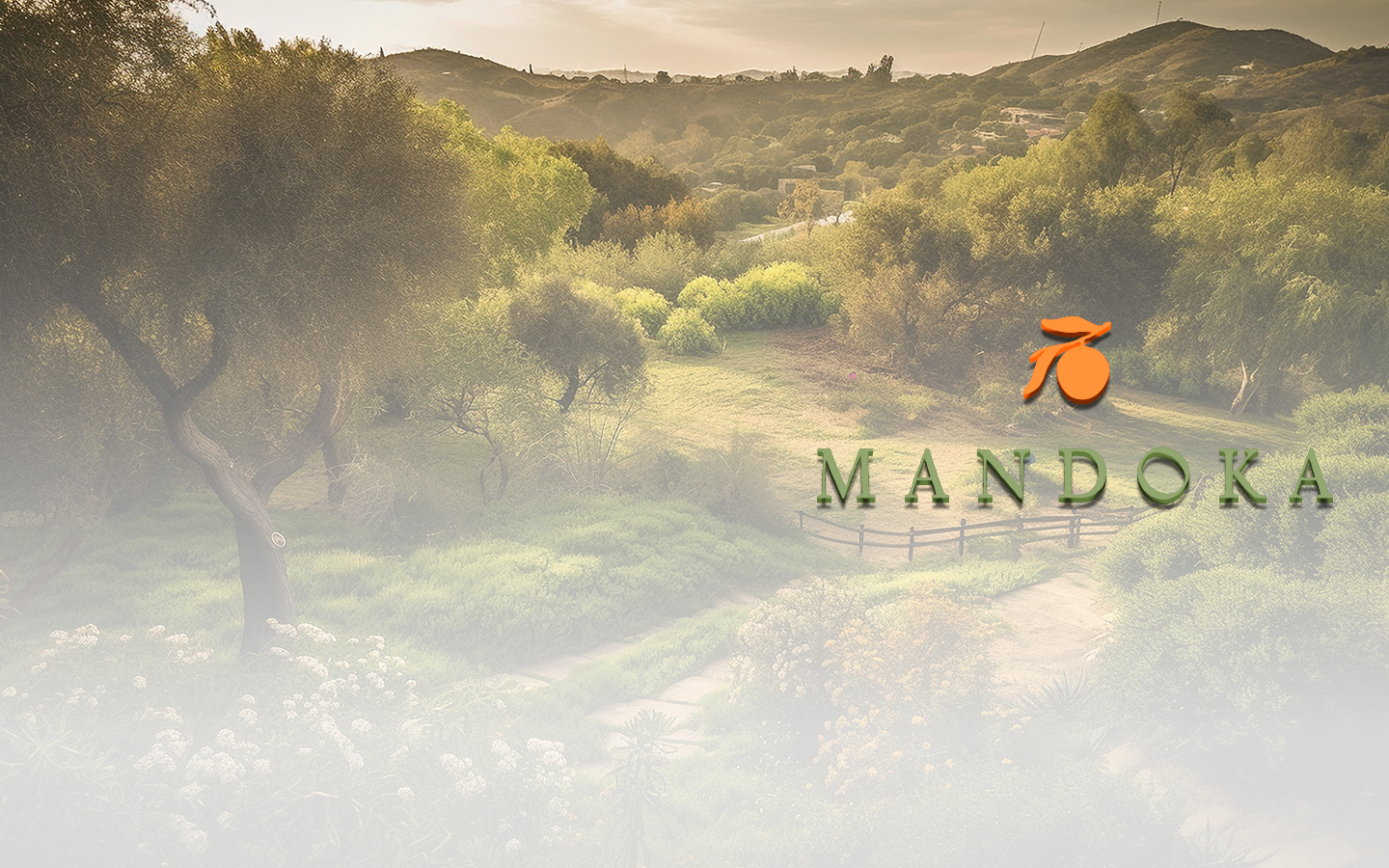 bg-mandoka.jpg